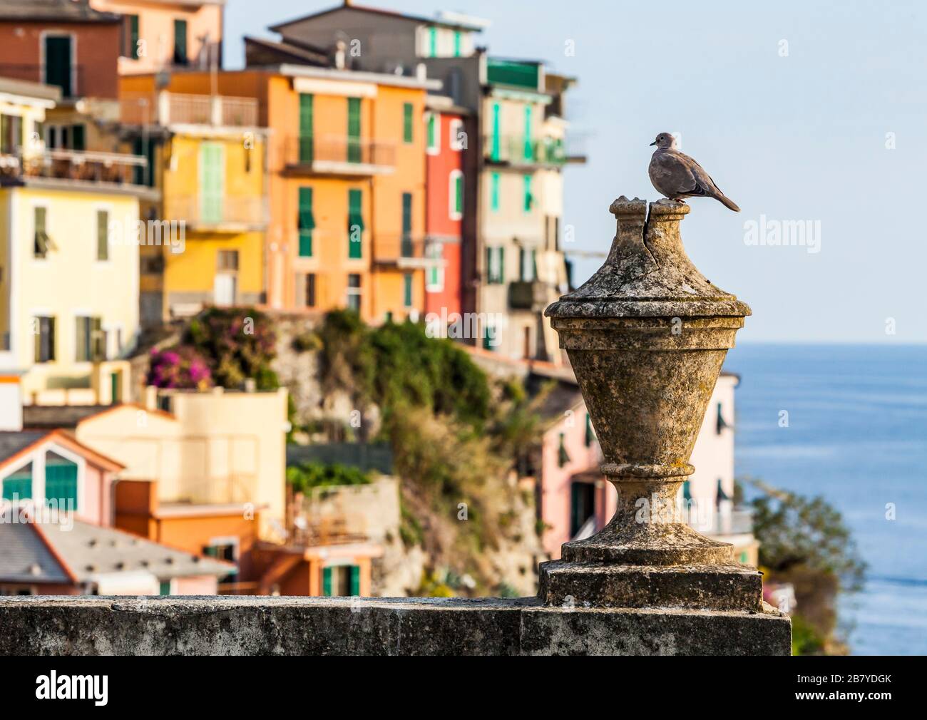 Italian birds hi-res stock photography and images - Alamy