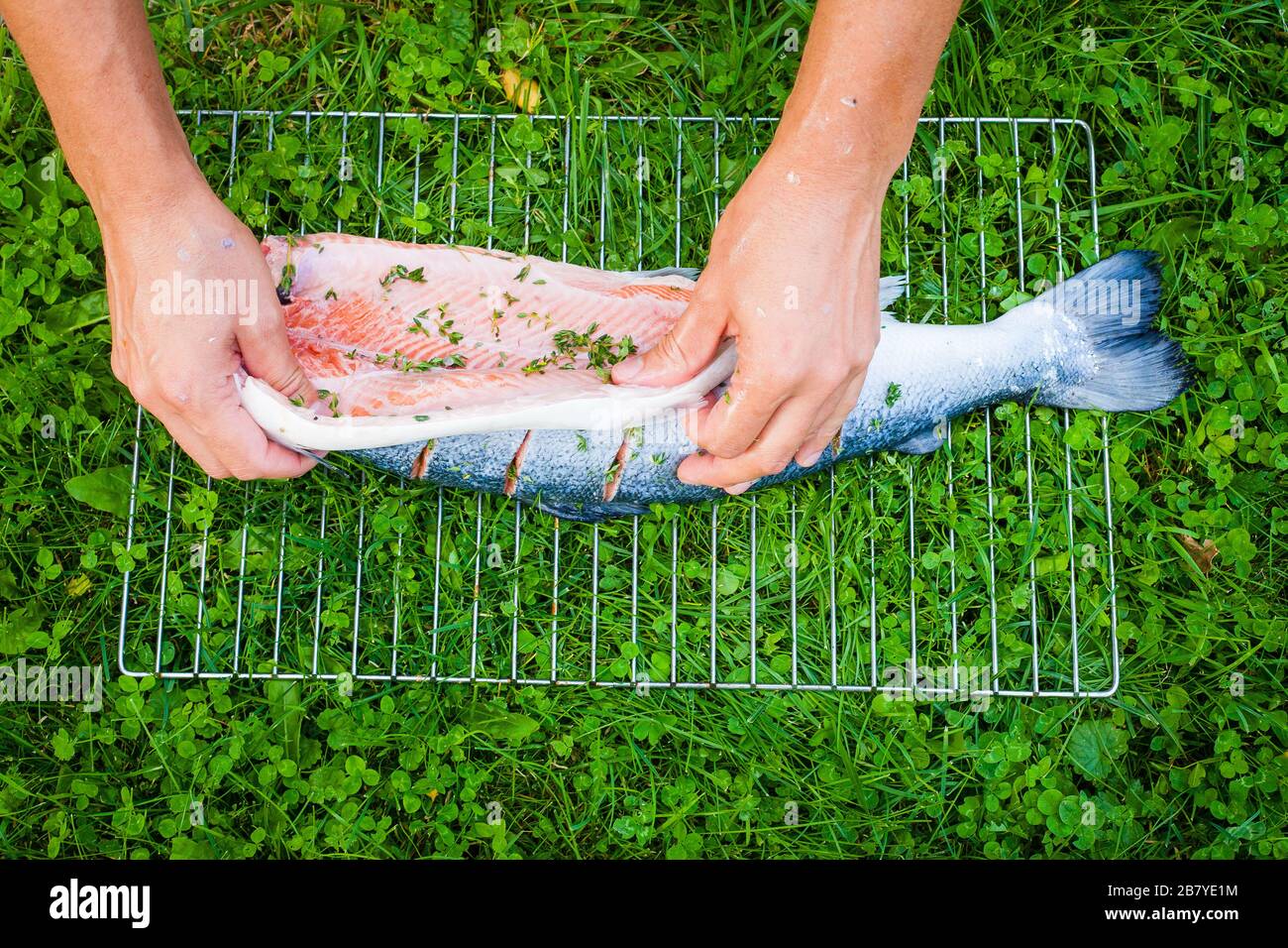 Filling large cut salmon fish with spice before grilling Stock Photo ...