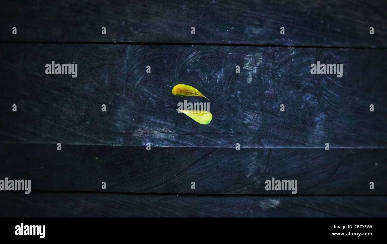 Dancing leaf hi-res stock photography and images - Alamy