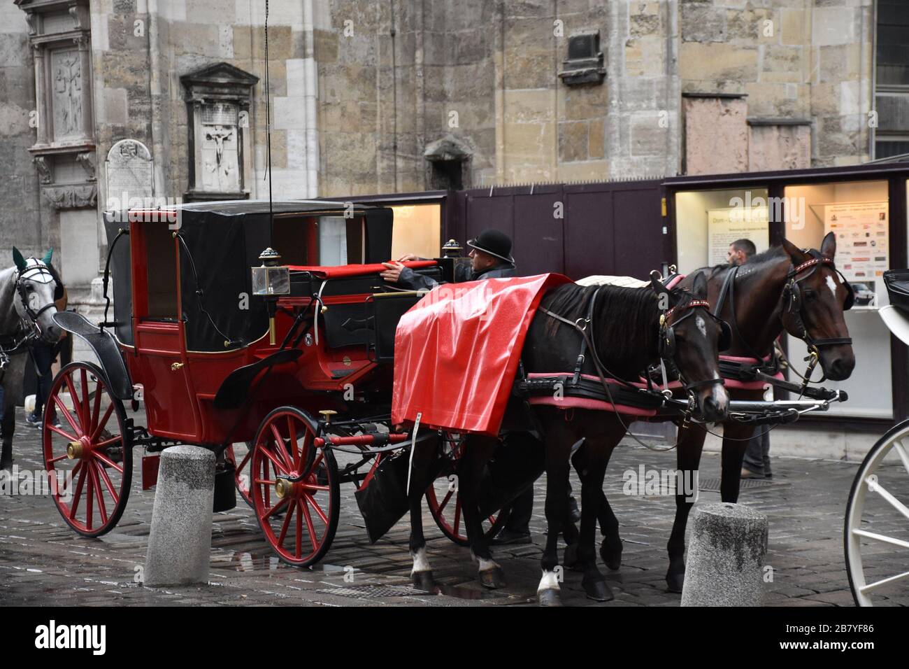A light red tourist parade car, pulling two horses. They are getting ...