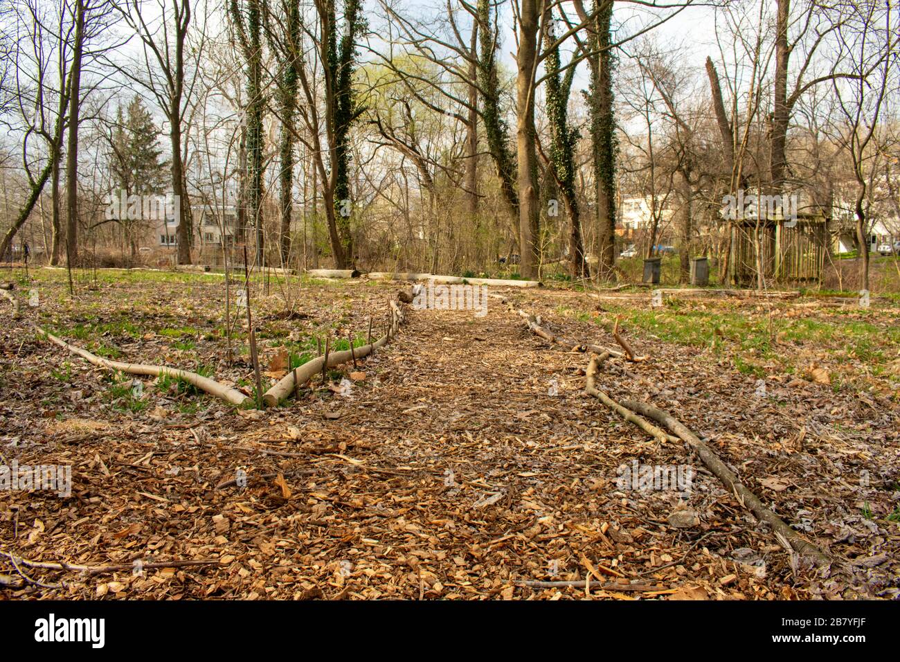Dirt path with sticks hi-res stock photography and images - Alamy