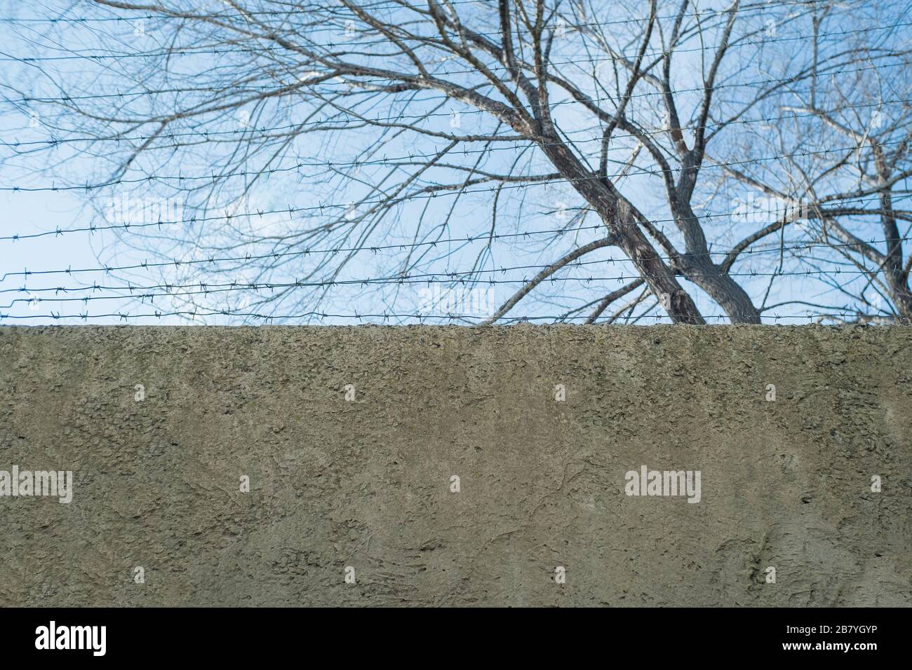 Gray concrete wall with barbed metal wire on a background of blurred ...