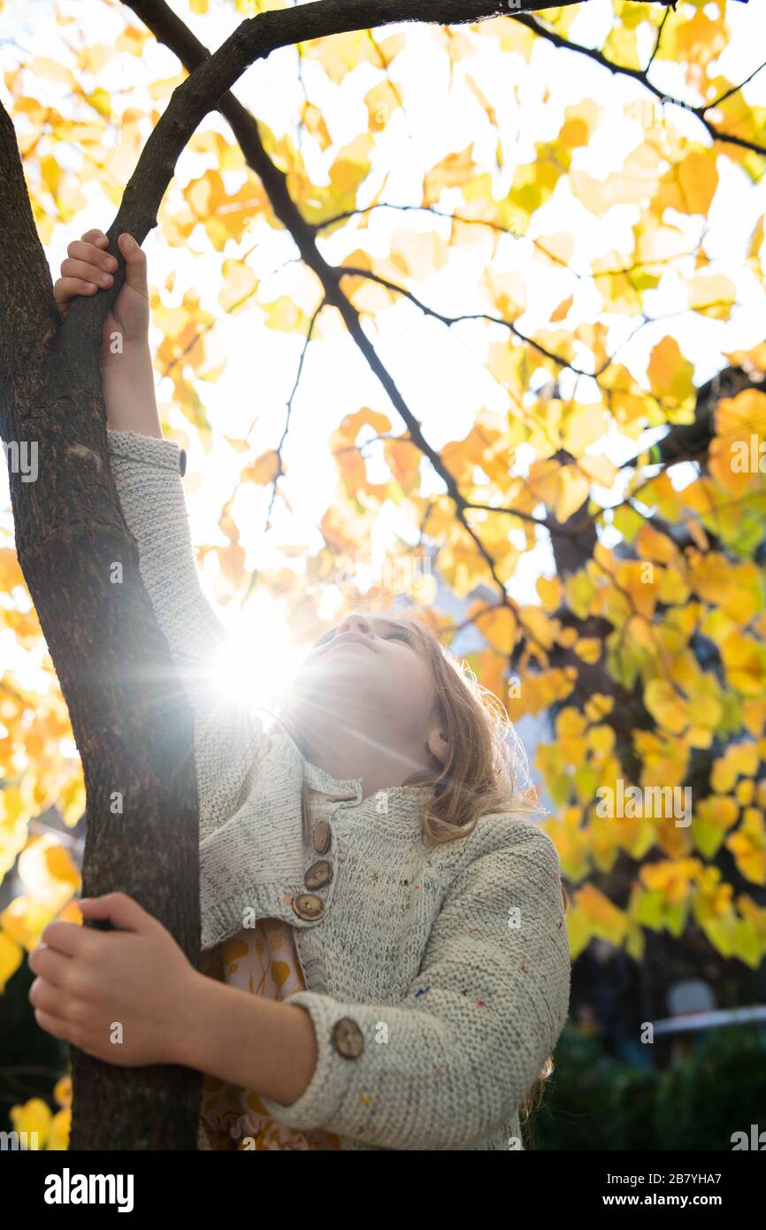 Girls climbing tree hi-res stock photography and images - Alamy