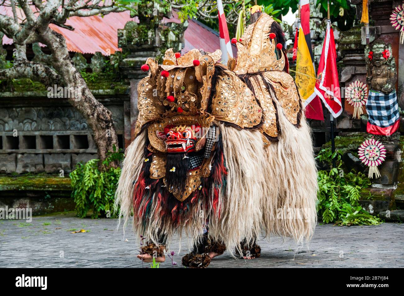 The Barong comes on stage at the Batubulan Barong Dance performance ...