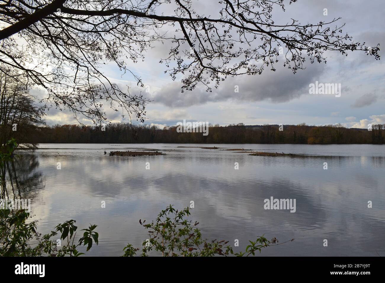 Sevenoaks wildlife reserve hi-res stock photography and images - Alamy