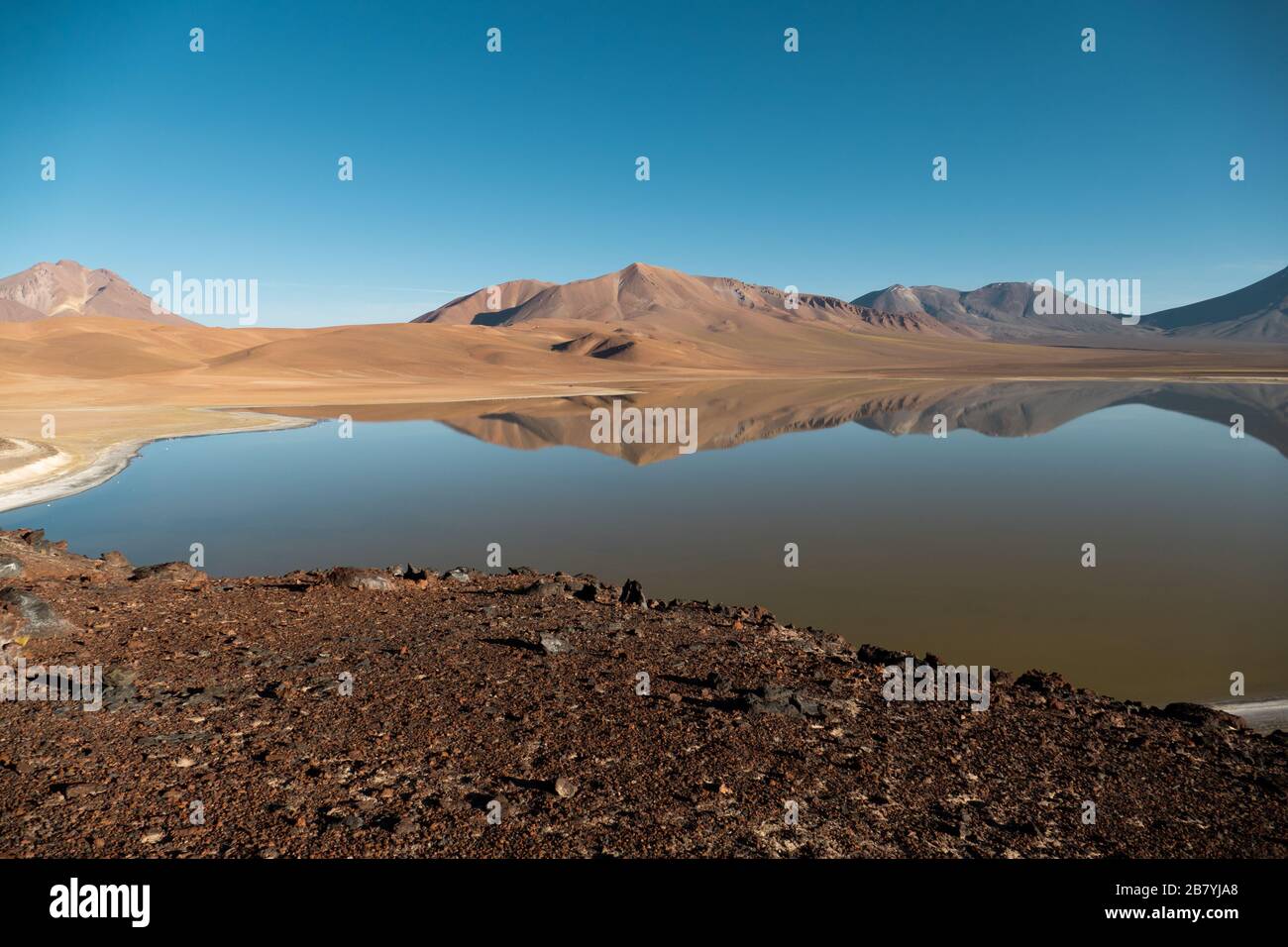 Atacama desert travel hi-res stock photography and images - Alamy