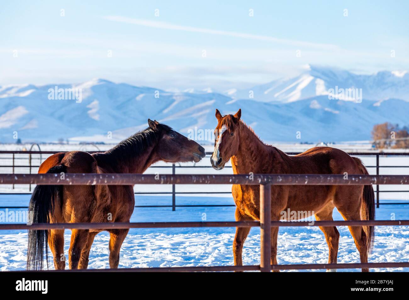 North paddock hi-res stock photography and images - Alamy
