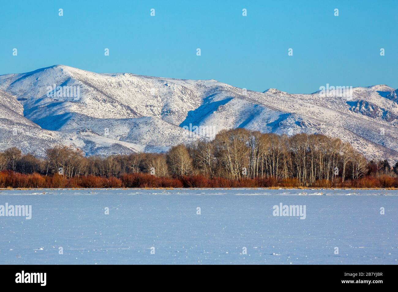 Picabo hi-res stock photography and images - Alamy