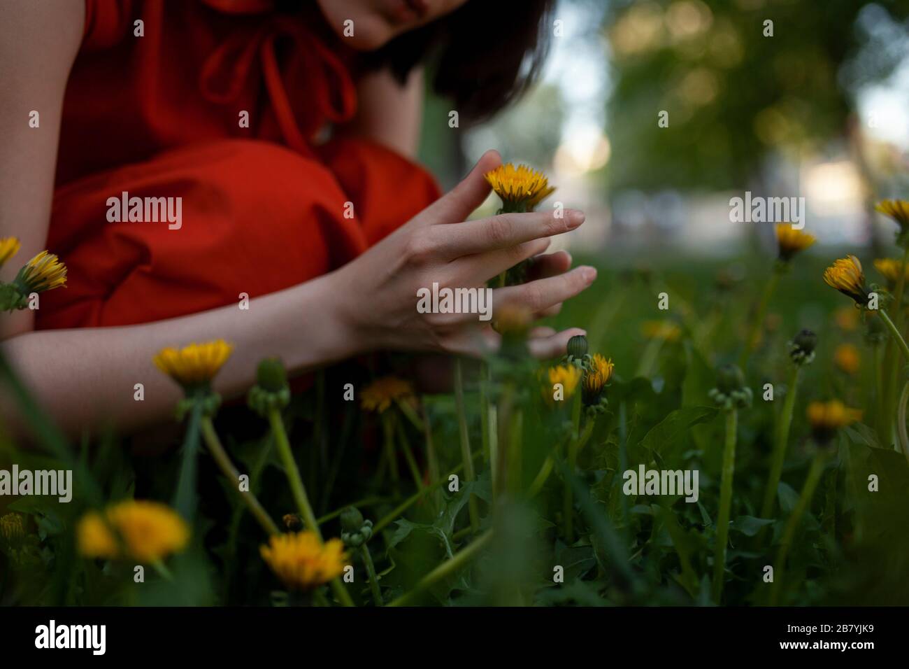 Woman hand picking flowers hi-res stock photography and images - Alamy
