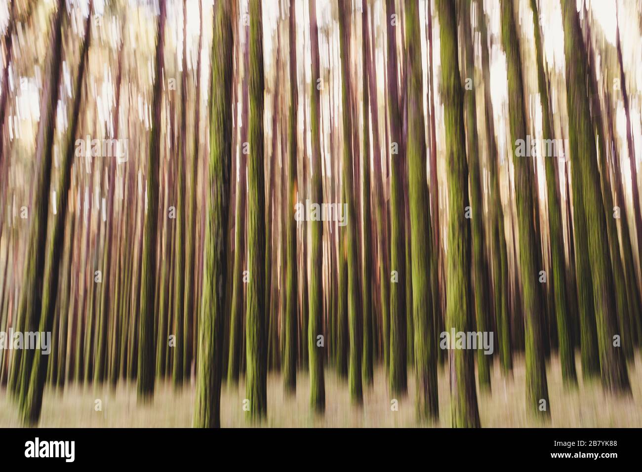 Artistic movement hi-res stock photography and images - Alamy