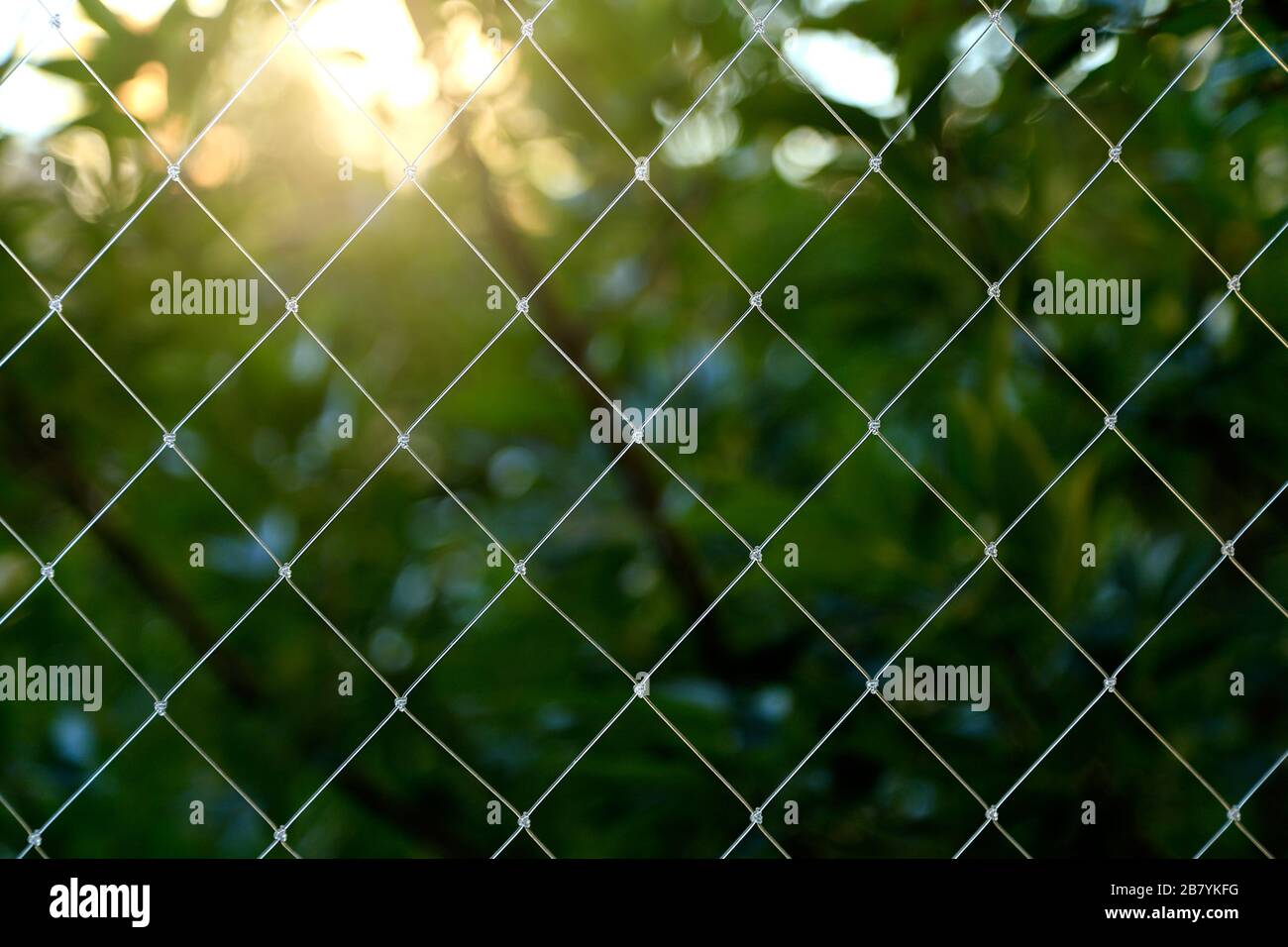 Transparent safety net. Child and pet protection net. For balcony and ...