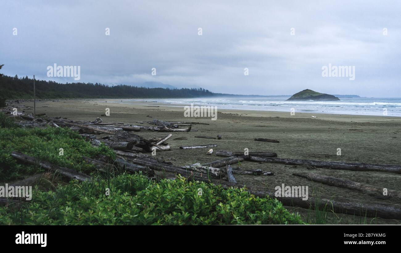 Beautiful rain forests and beaches on Vancouver Island in British ...