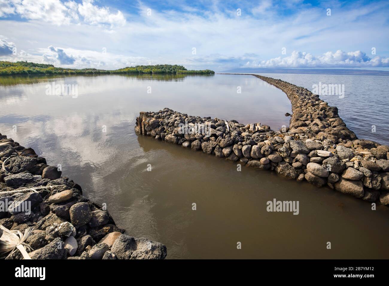 Fishponds hi-res stock photography and images - Alamy