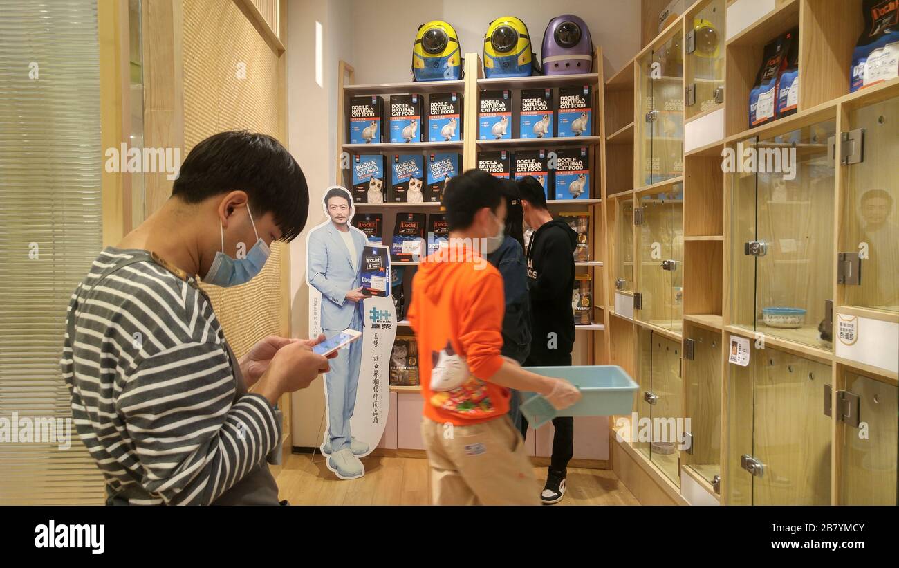 Cat shop hi-res stock photography and images - Alamy