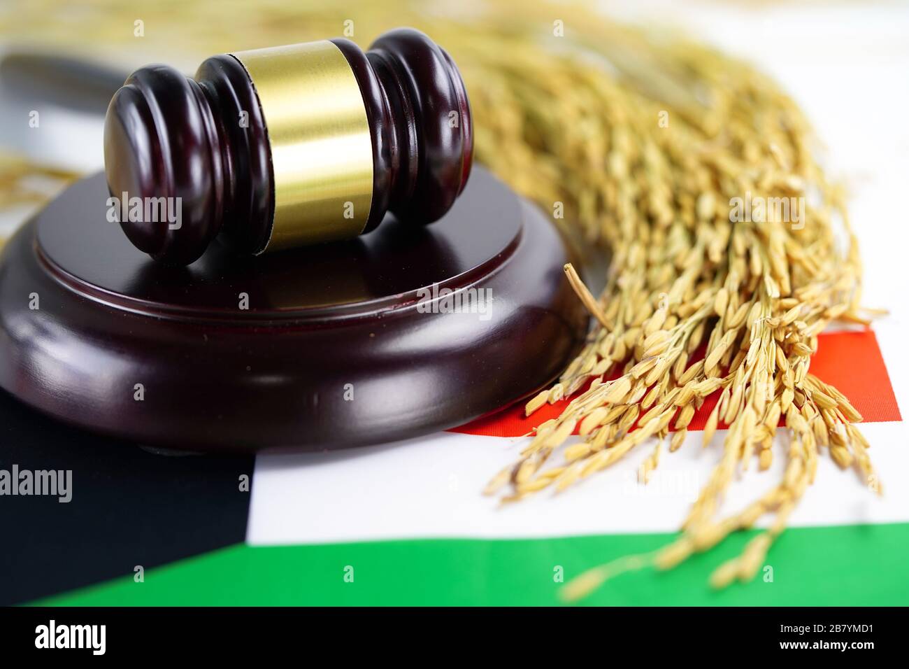 Kuwait wheat grain hi-res stock photography and images - Alamy