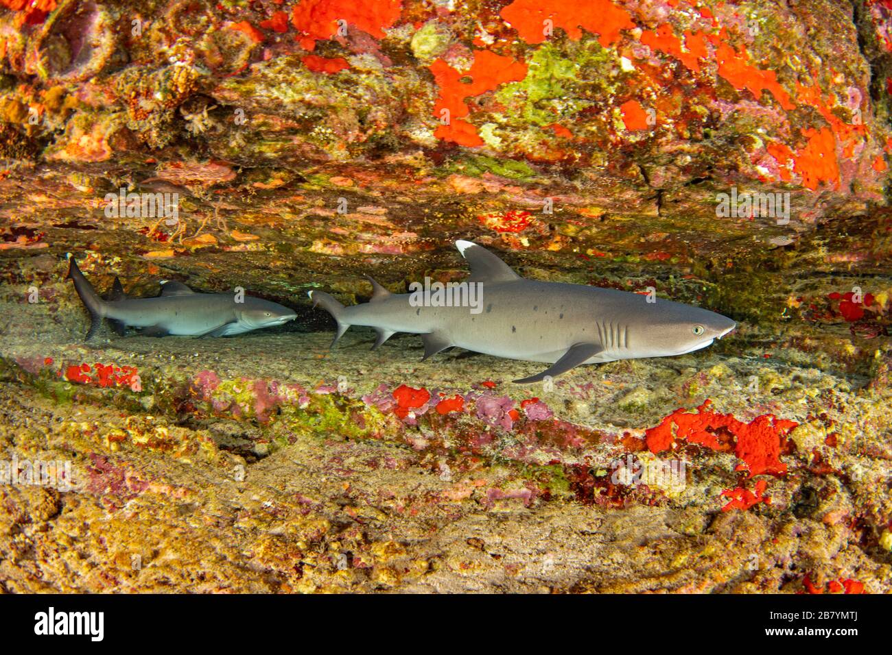 Stop to rest hi-res stock photography and images - Alamy