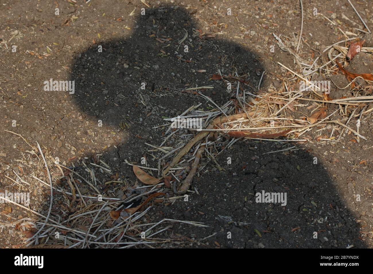 Field shadow floor hi-res stock photography and images - Alamy