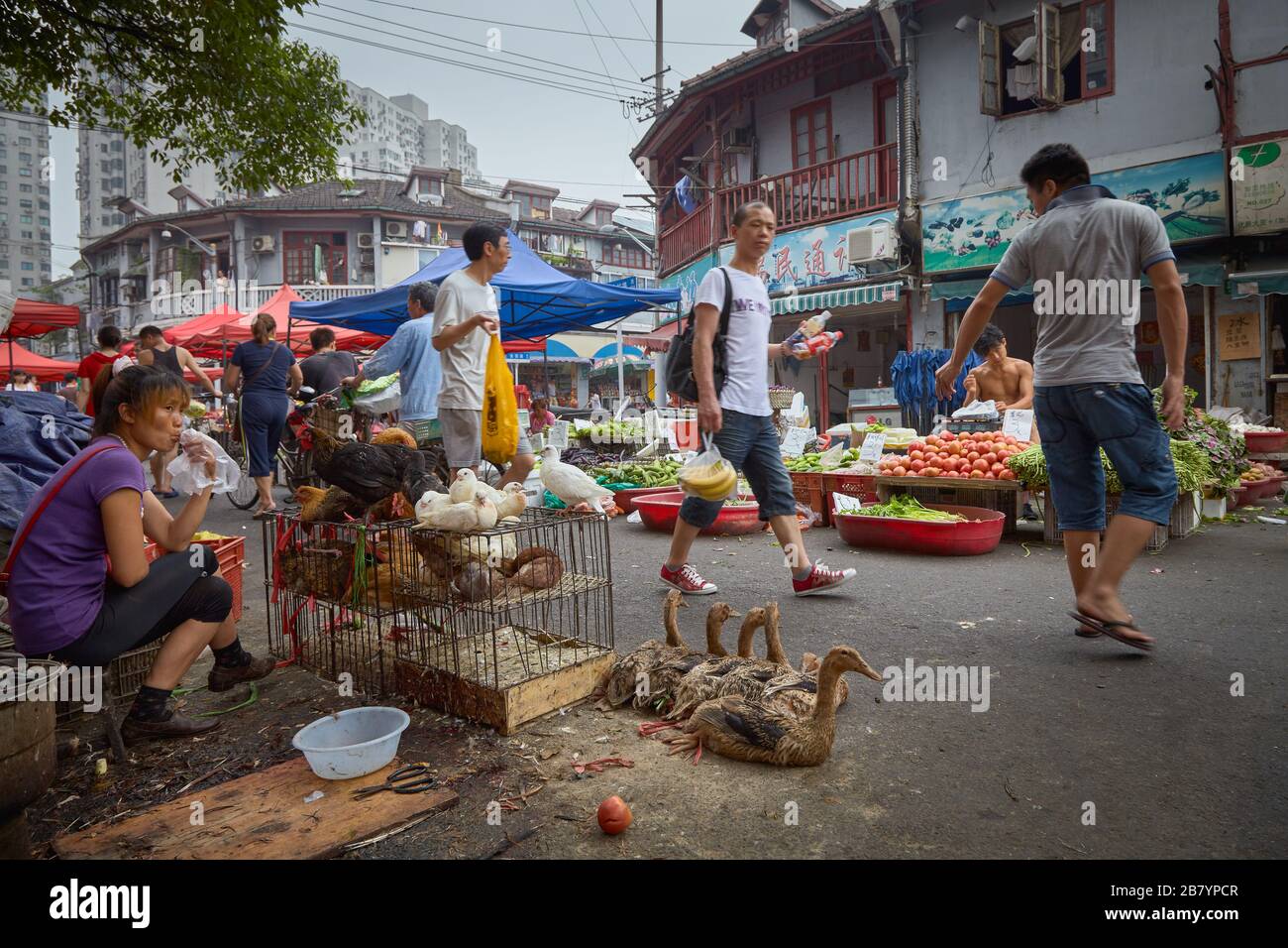 SHANGHAI, CHINA - fresh produce market in suburban Shanghai Stock Photo ...