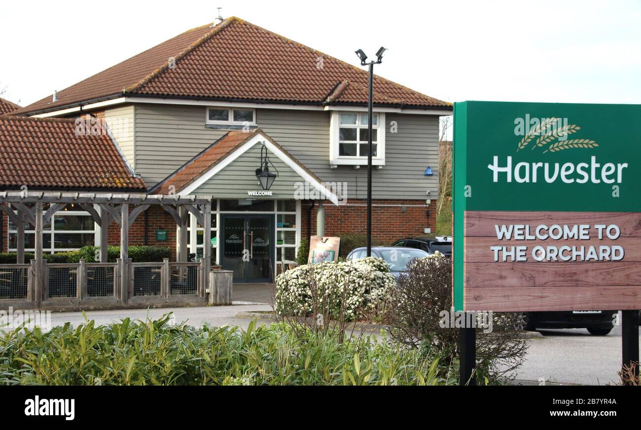 Harvester pub/restaurant group is one of the UK's chains with it's ...