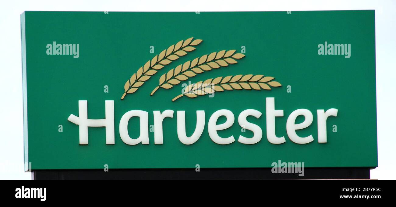 Harvester pub/restaurant group is one of the UK's chains with it's ...