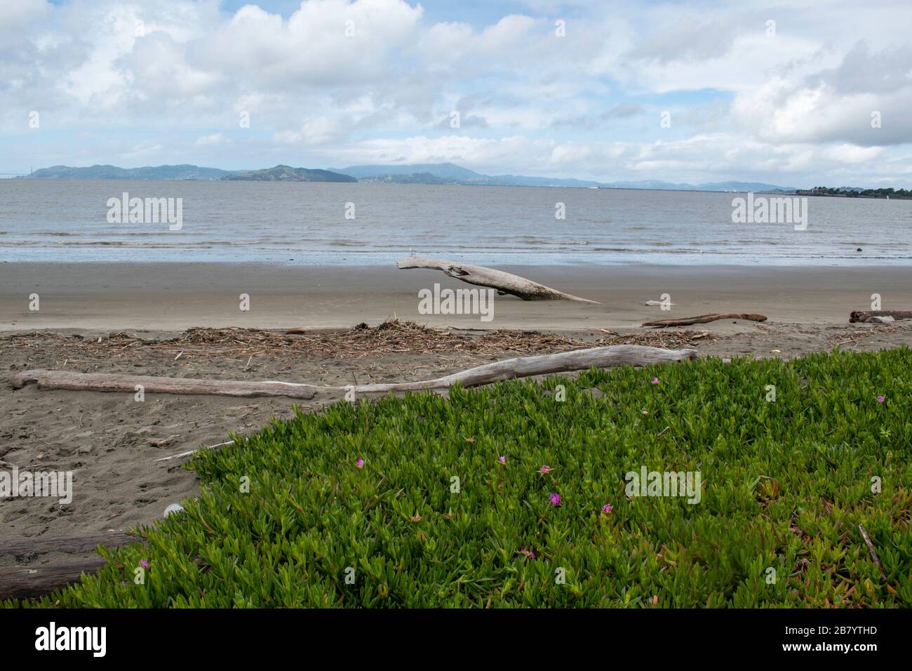 Point Emery is a small park that extends into the bay in Emeryville, CA ...