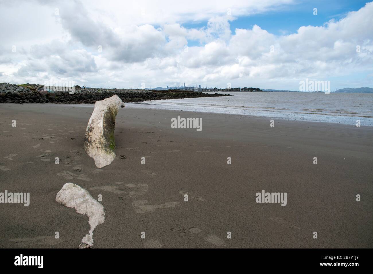 Point Emery is a small park that extends into the bay in Emeryville, CA ...