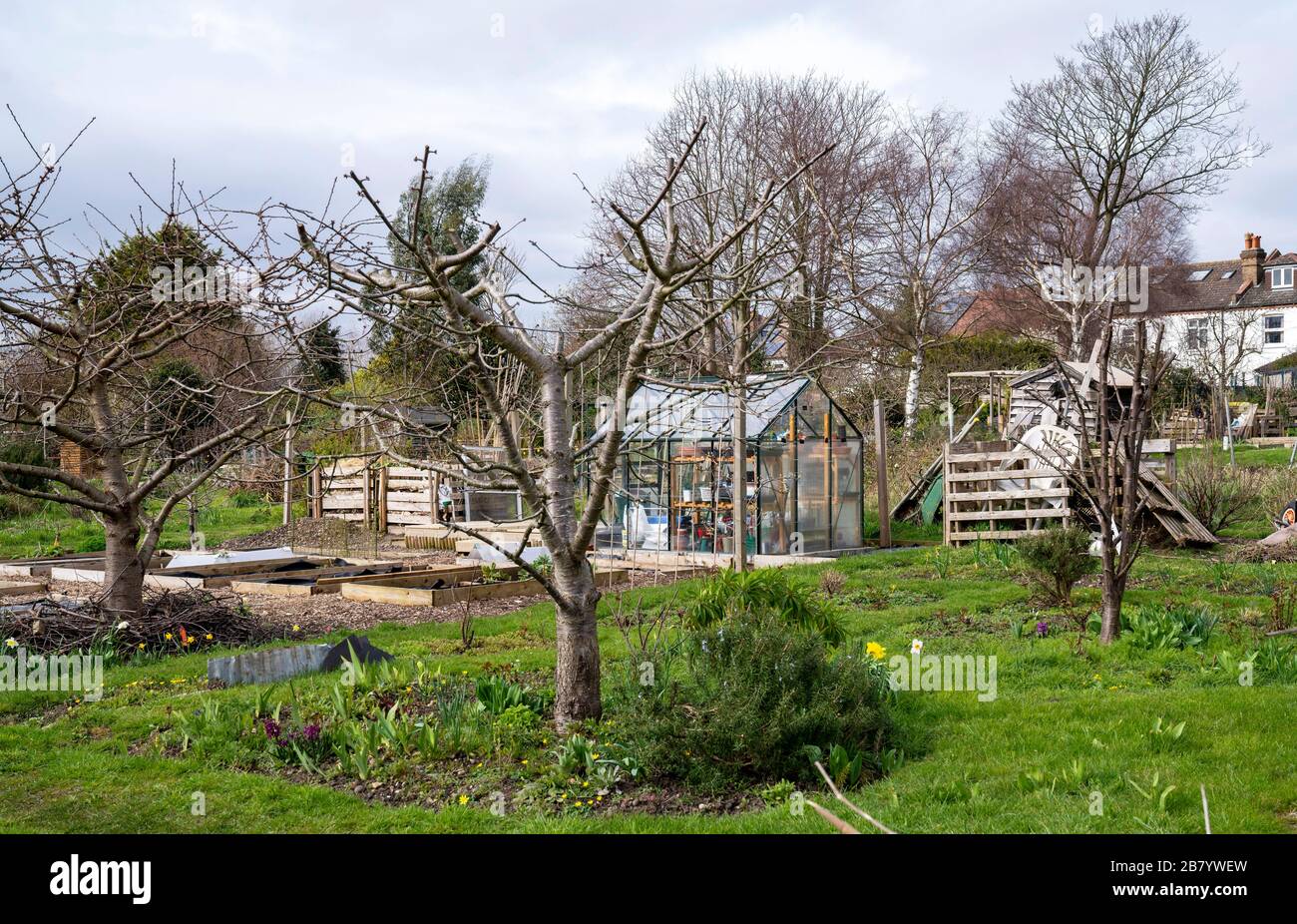 Allotment plot hi-res stock photography and images - Alamy