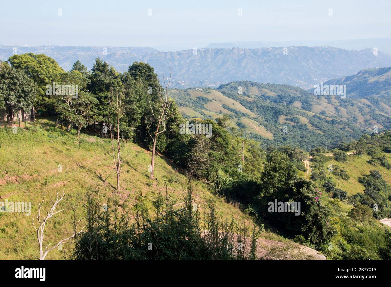 Tree covered hillside hi-res stock photography and images - Alamy