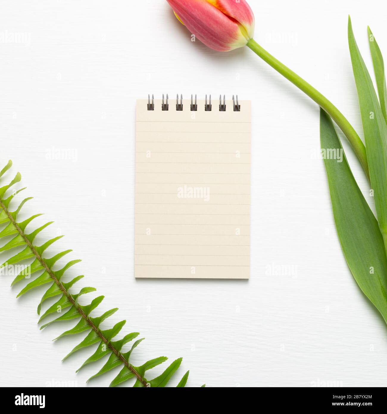 Note flower petal leaf hi-res stock photography and images - Alamy