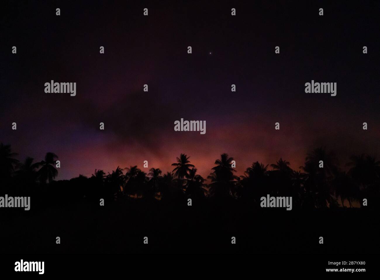 Smoke from a bonfire in a rainforest at sunset. Fires in the forest ...