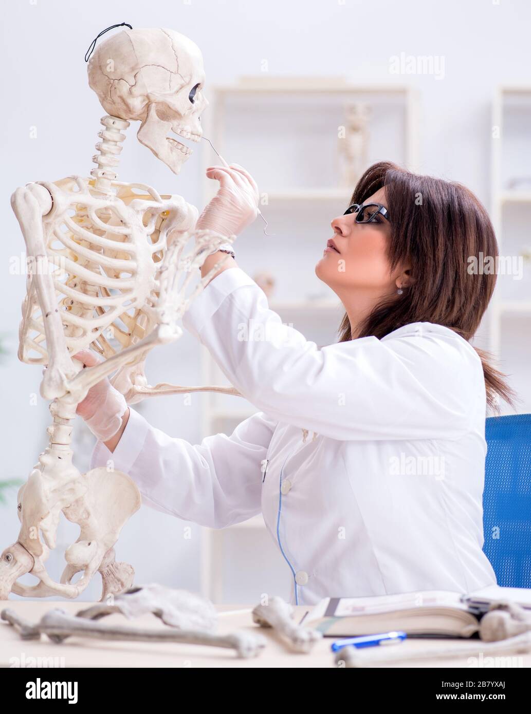 The doctor working in the lab on skeleton Stock Photo - Alamy