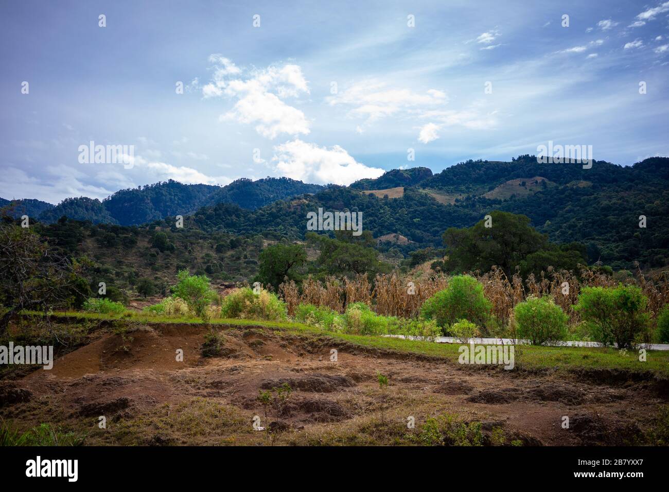 mountains and corn crops in the state of mexico mexico Stock Photo - Alamy