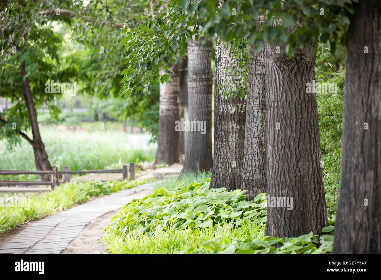 Urban park in spring Stock Photo - Alamy