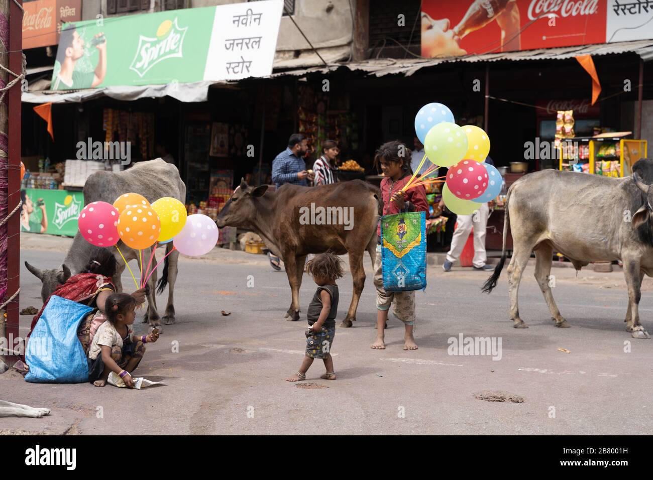 Eklingji, India - March 15, 2020: Street life scene in rural India ...