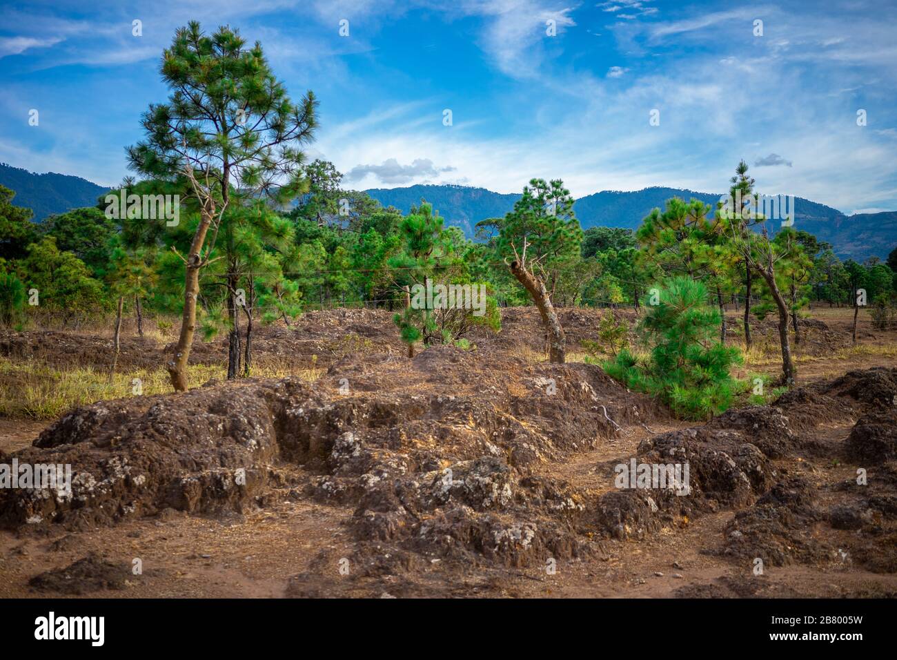 Mexico vineyard hi-res stock photography and images - Alamy