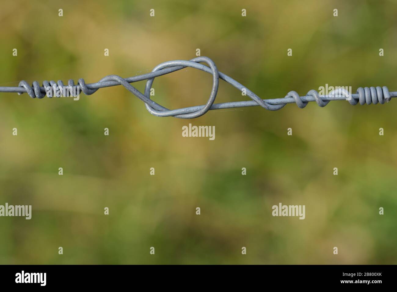 Green background with two wire loops connected together as a close-up ...