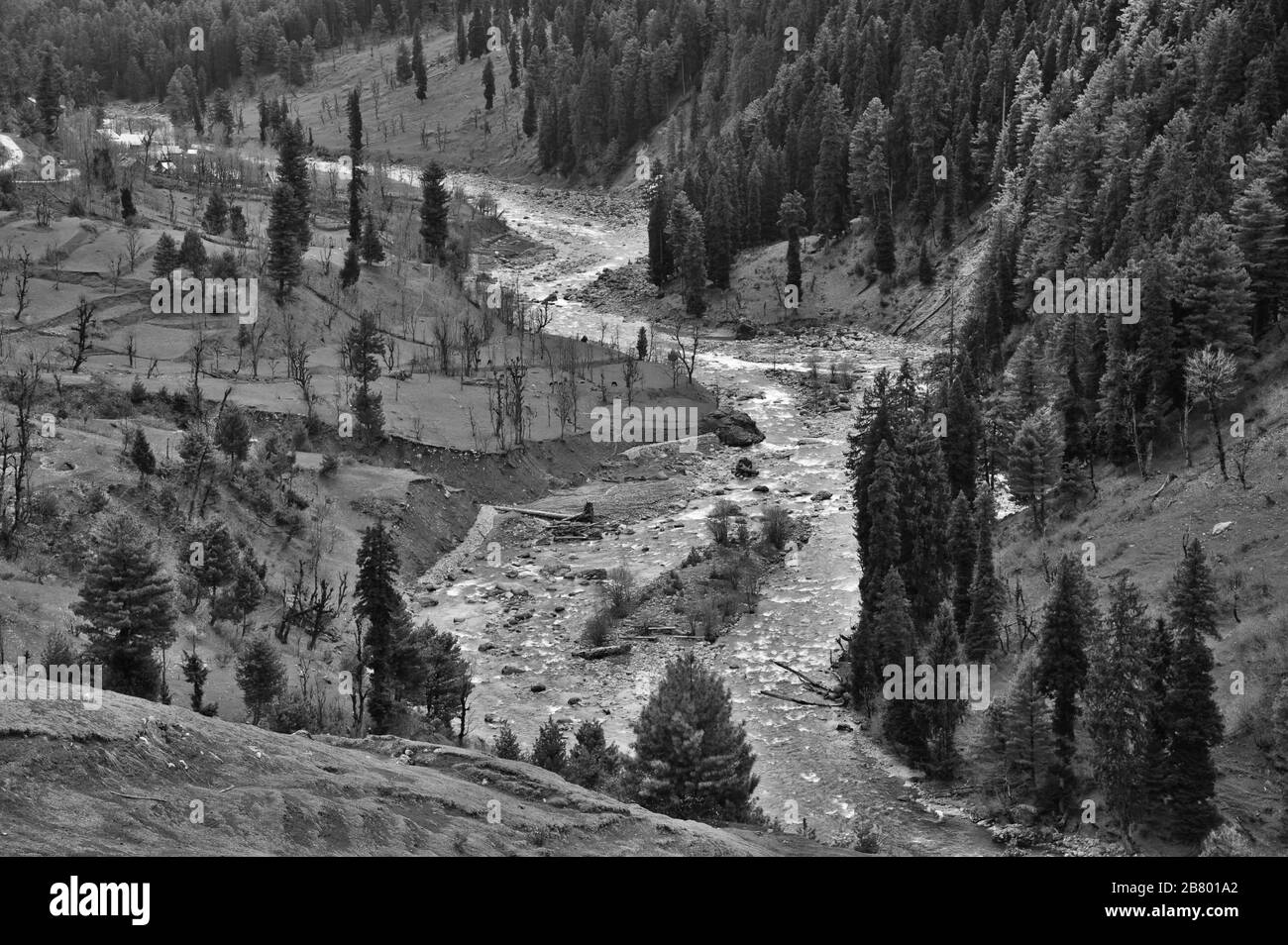 Lidder River, Lidder valley, Pahalgam, Kashmir, Jammu and Kashmir ...