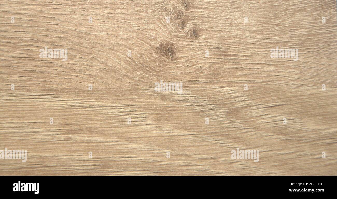 Dark ash, natural wood texture with a pronounced pattern on a saw close ...