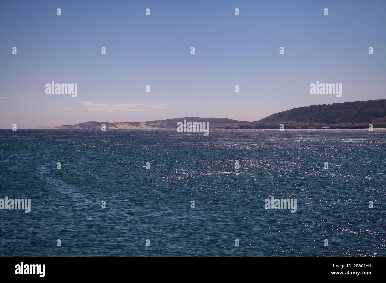 Santa Rosa Island, Channel Islands Stock Photo - Alamy