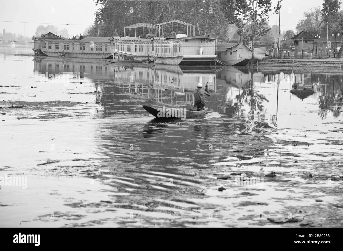 Kashmiri paddling boat, Nagin Lake, Dal Lake, Srinagar, Kashmir, Jammu ...