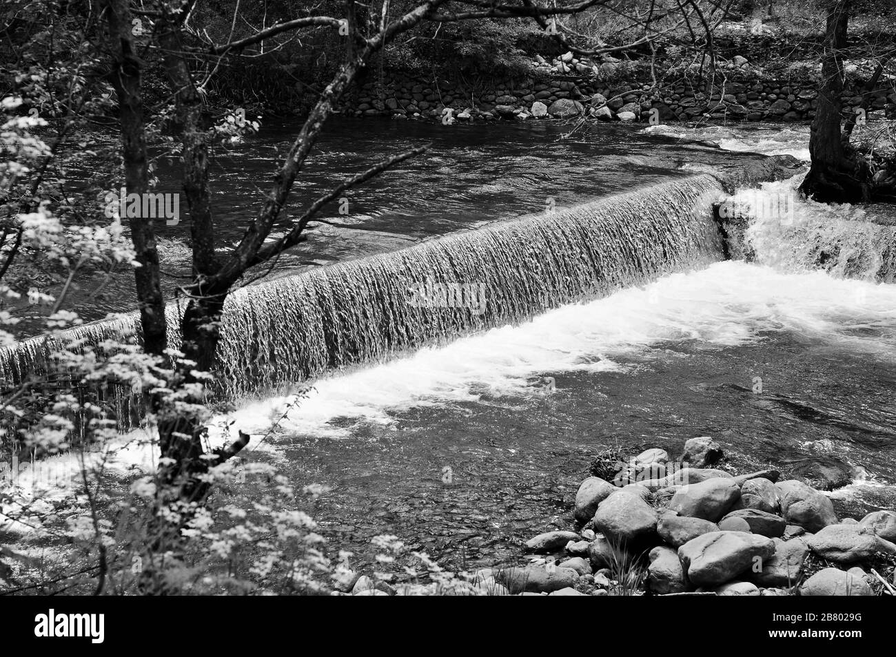 Waterfall, Dachigam National Park, Srinagar, Kashmir, Jammu and Kashmir ...