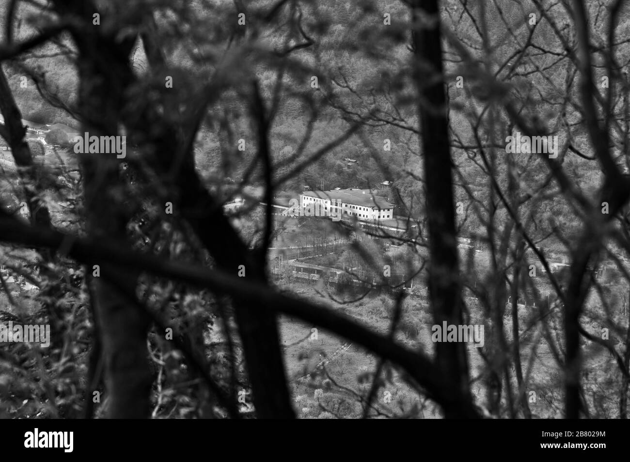 Aerial view fall trees Black and White Stock Photos & Images - Alamy
