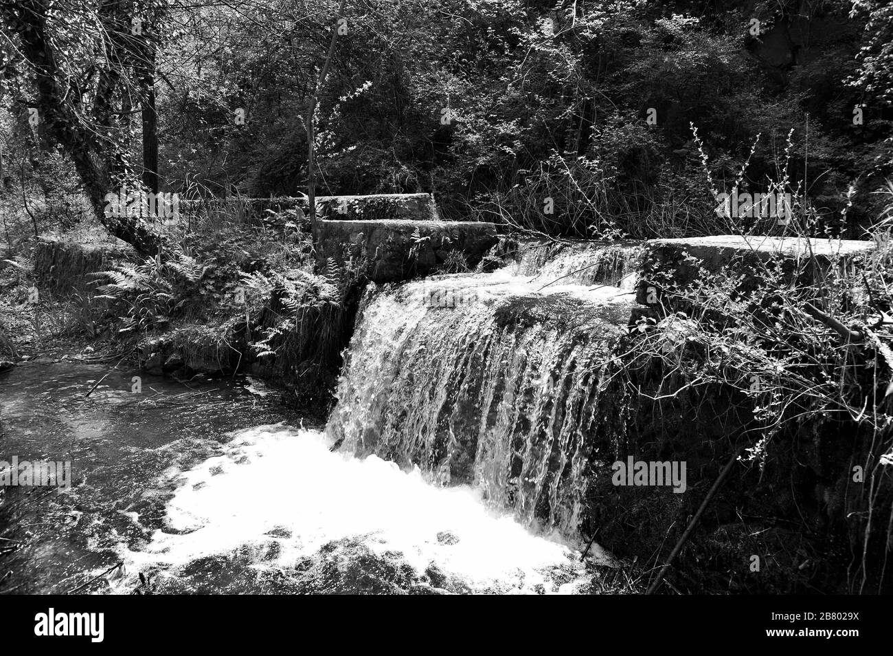 Waterfall, Dachigam National Park, Srinagar, Kashmir, Jammu and Kashmir ...