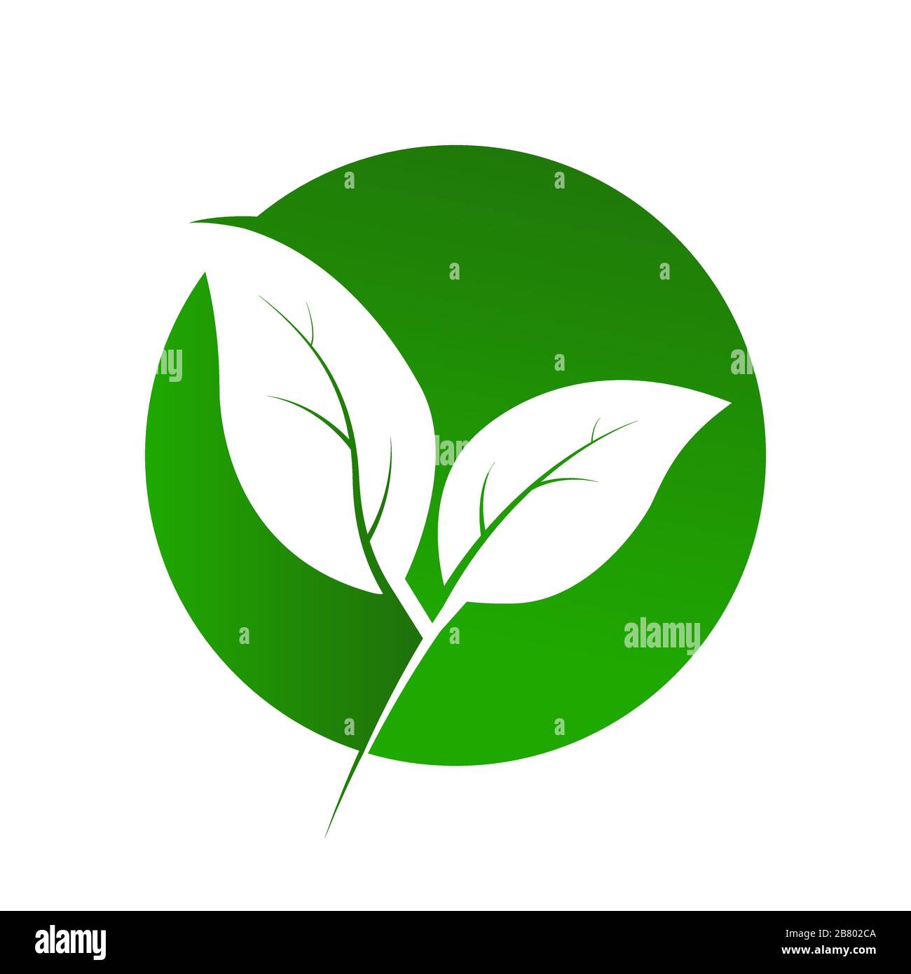 In the circle, two leaves of the plant are cut out, a symbol of ecology ...