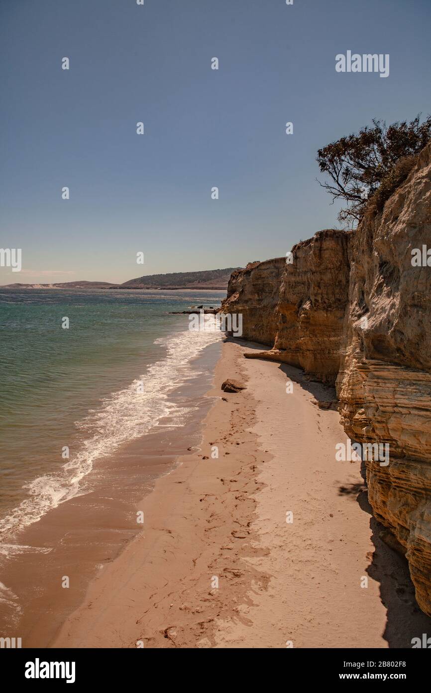 Santa Rosa Island, Channel Islands Stock Photo - Alamy