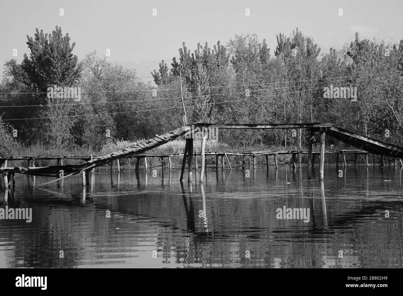 wooden bridge on lake, Srinagar, Kashmir, Jammu and Kashmir, India ...