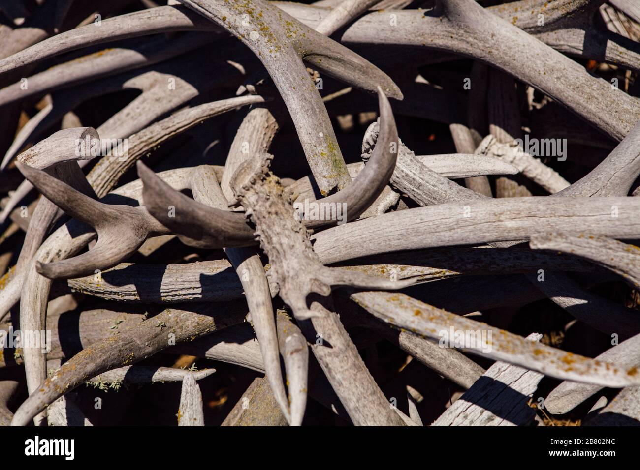 Chumash boat hi-res stock photography and images - Alamy