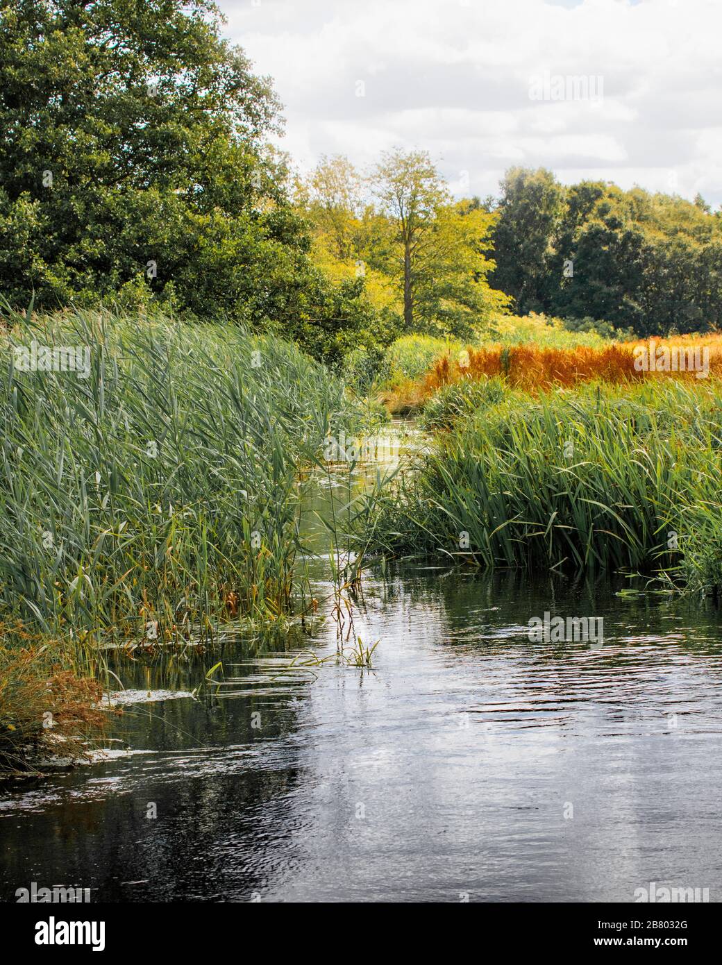 Down by the river composition hi-res stock photography and images - Alamy