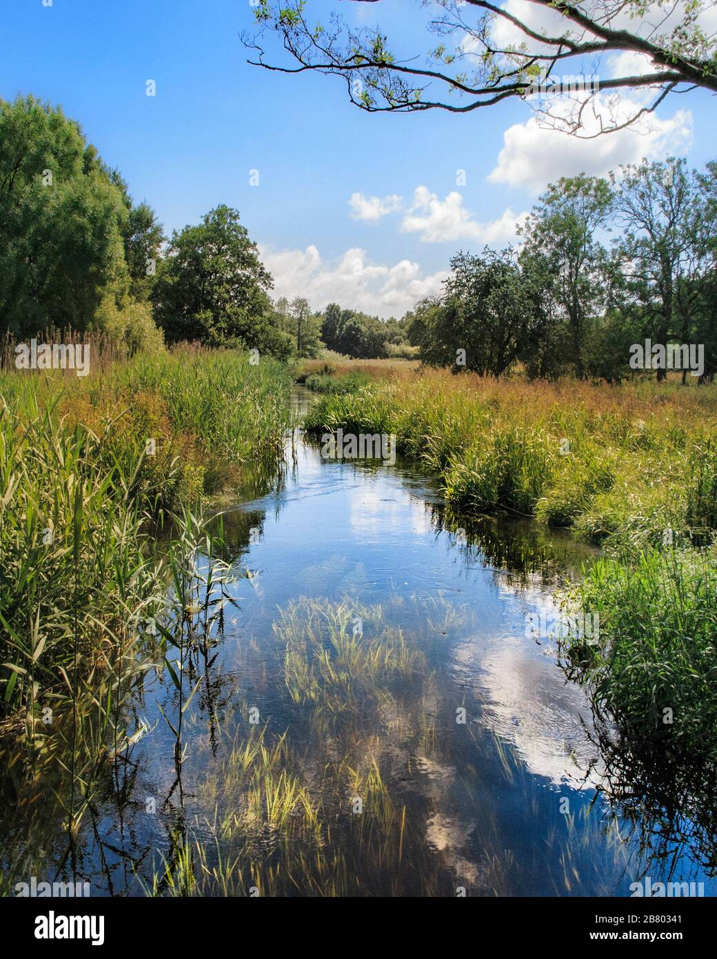 Down by the river composition hi-res stock photography and images - Alamy