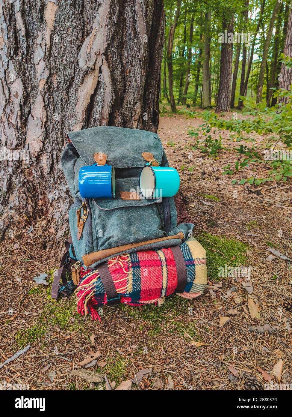 hiking backpack in forest on the ground Stock Photo - Alamy